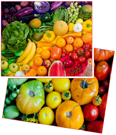 Natural Food Color Manufacturers & Suppliers, India, Gujarat